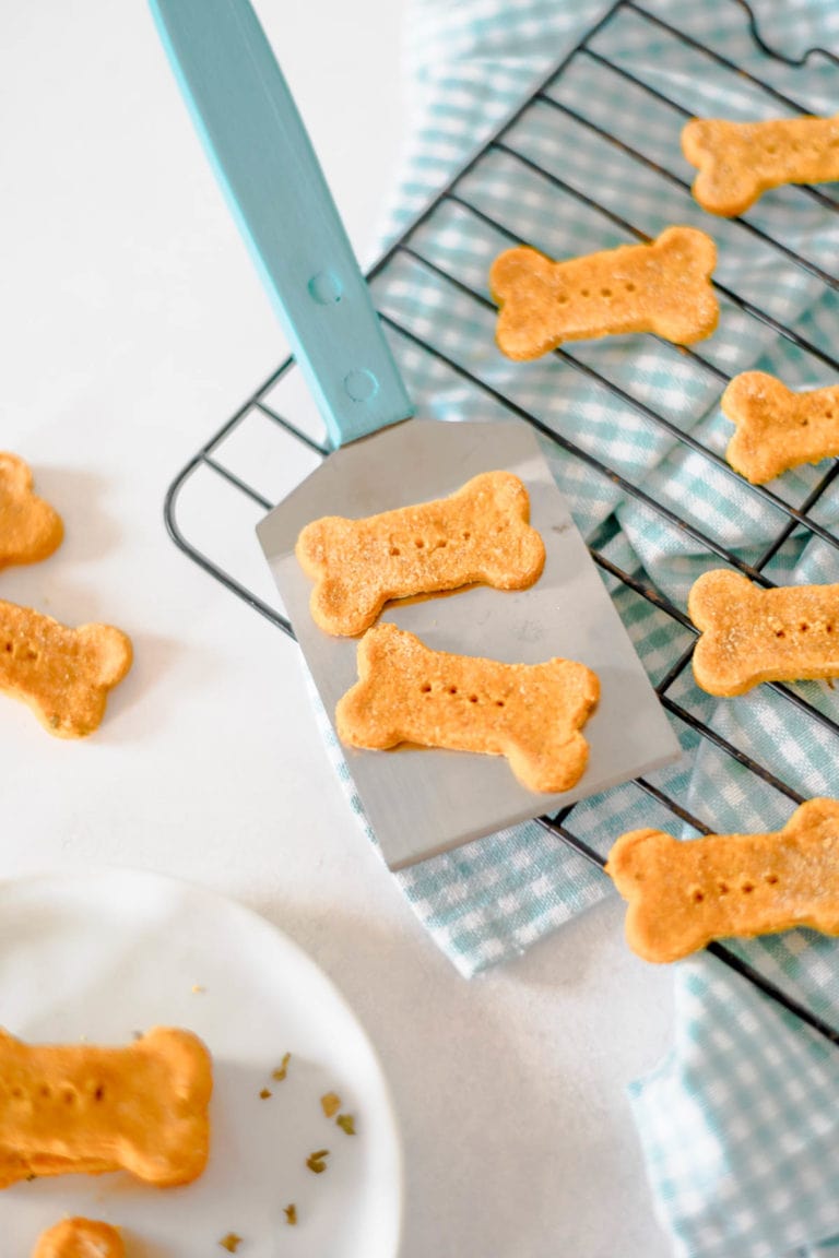 Pumpkin and Brown Rice Flour Dog Treats • Aimee's Pretty Palate